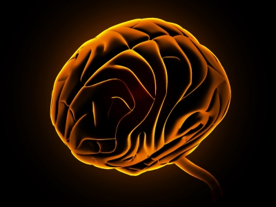Western civilization and the divided brain - The Teeming Brain